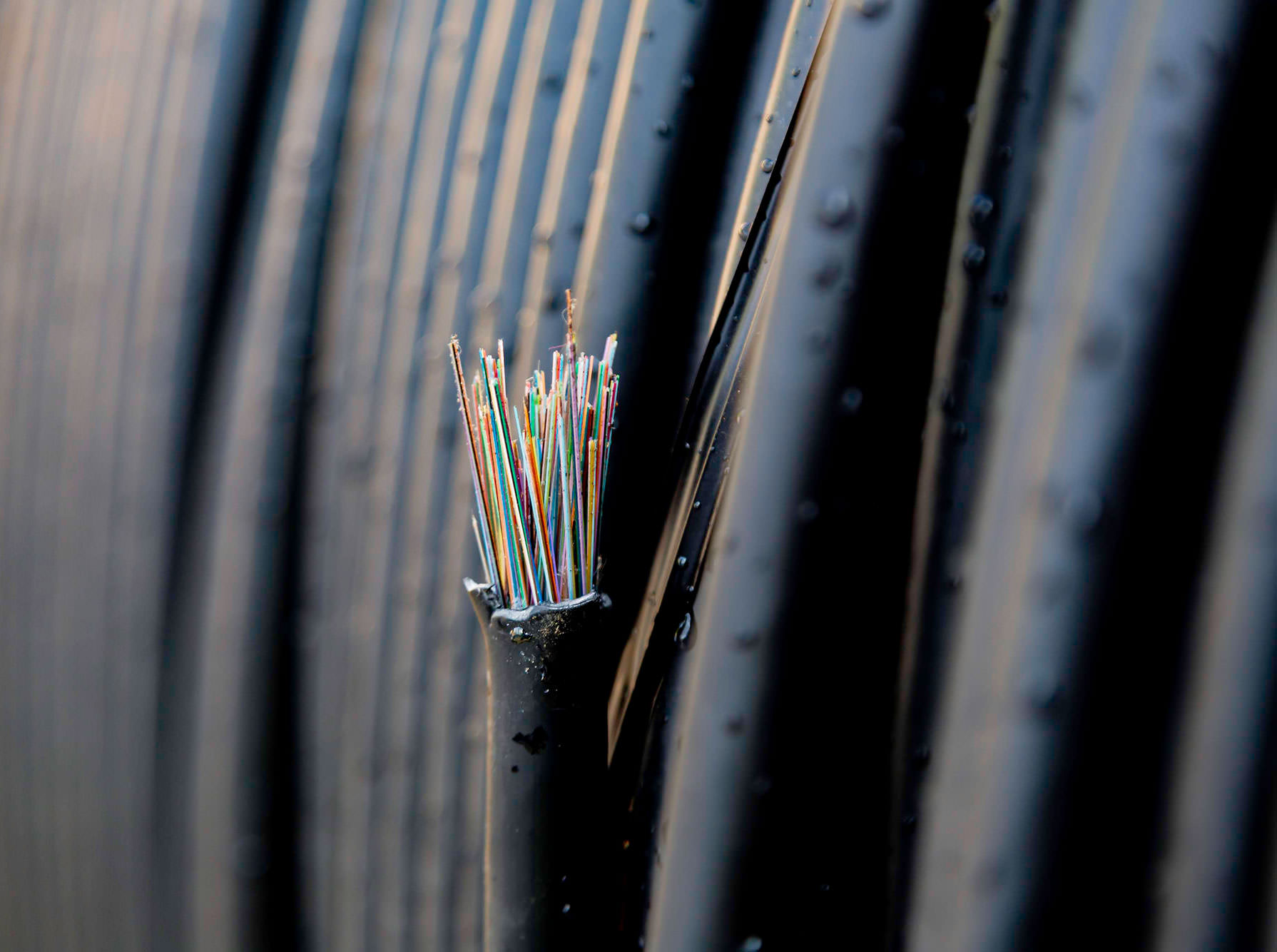 Solutions • euNetworks